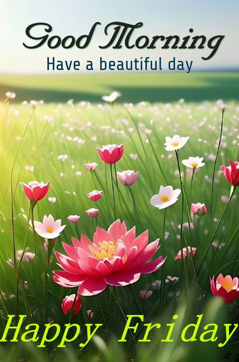 Good Morning Funny Friday, Goddess Wishes, Her Blessings For Love ...