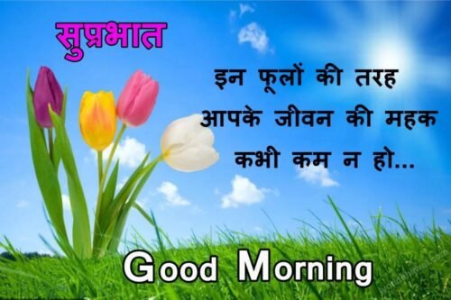 Good Morning Hindi Photos - Good Morning Wishes and Images