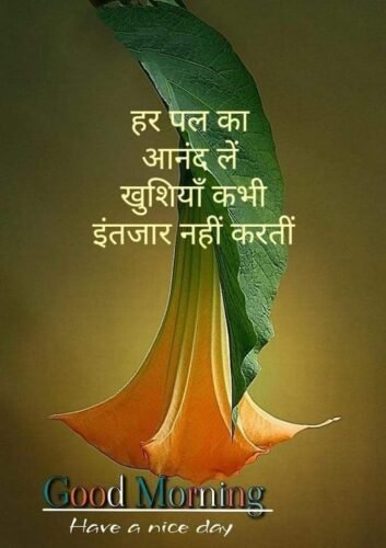 Good Morning Hindi Photos - Good Morning Wishes and Images