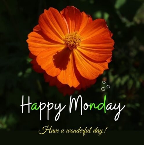 Good Morning Monday Quotes Blessings Wishes Photos Messages - Good ...