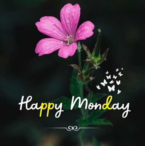 Good Morning Monday Quotes Blessings Wishes Photos Messages - Good ...