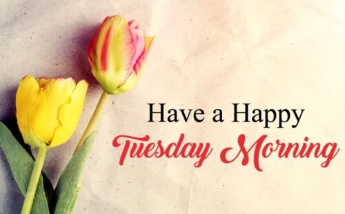 English Good Morning Tuesday Positive Quotes - Good Morning Wishes and ...