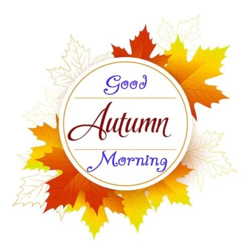 Good Morning Autumn Fall Harvest 2023 Wishes Quotes Messages - Good ...