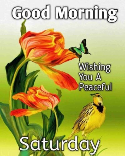 Happy n Funny Saturday Good Morning Quotes Wishes Images Whatsapp ...