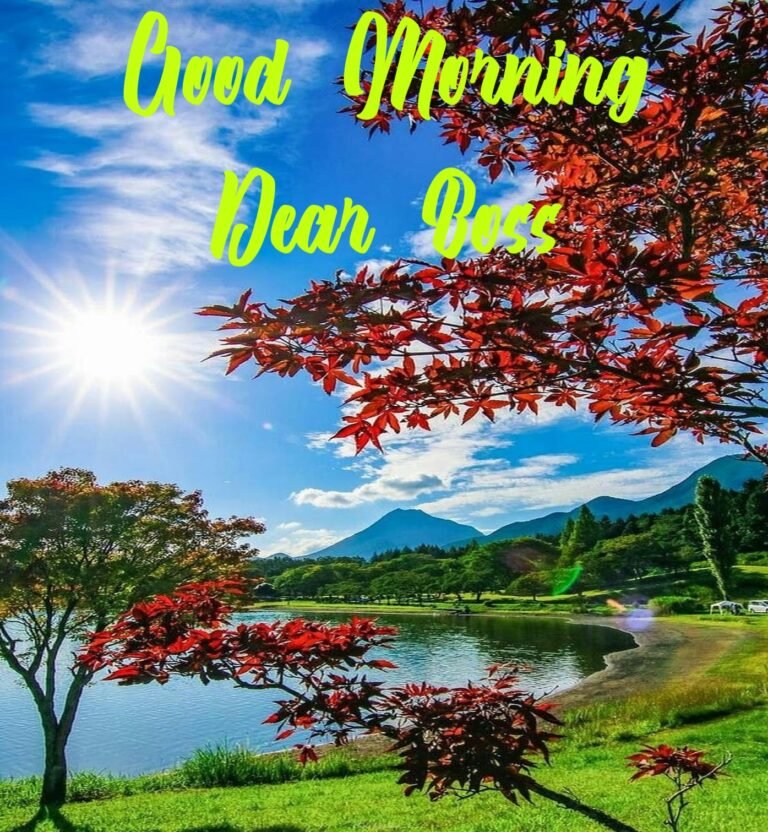 Good Morning Quotes New Style Images Wishes Male N Female Boss 2023 ...
