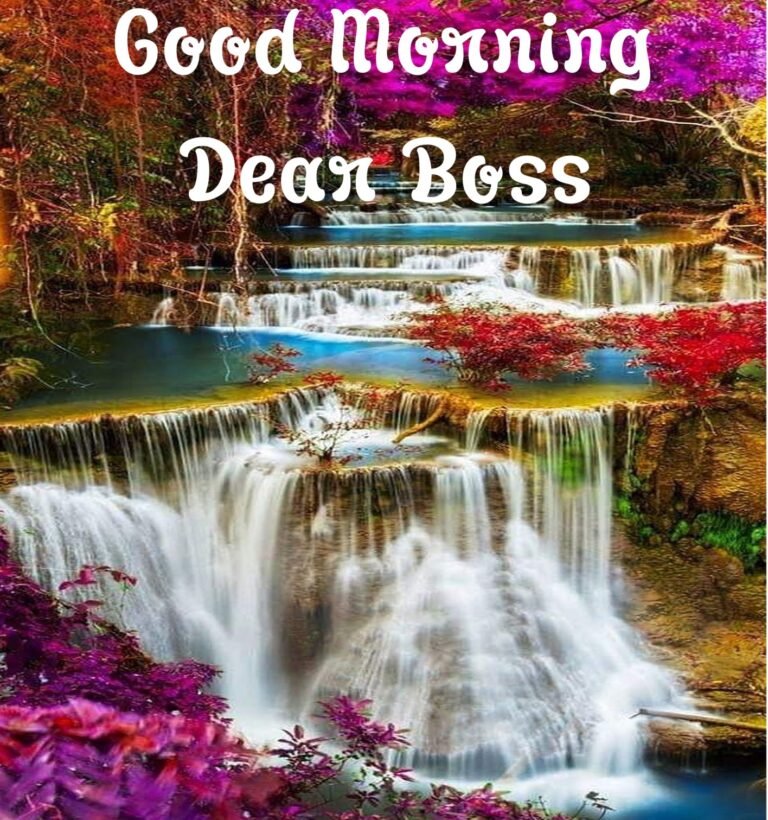 Good Morning Quotes New Style Images Wishes Male N Female Boss 2023 ...