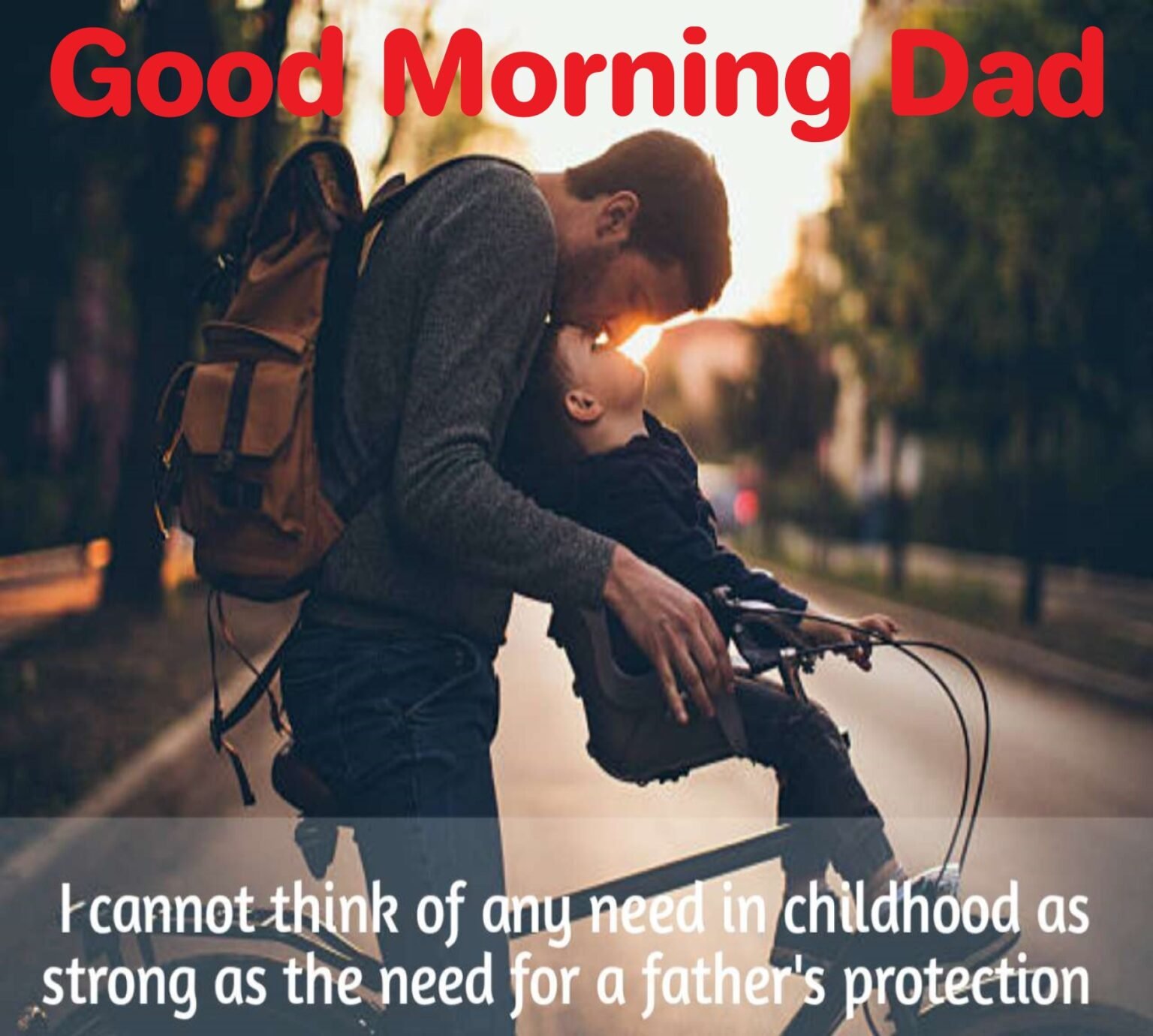Good Morning Dad Whatsapp Images Hindi Father Quotes English Messages ...
