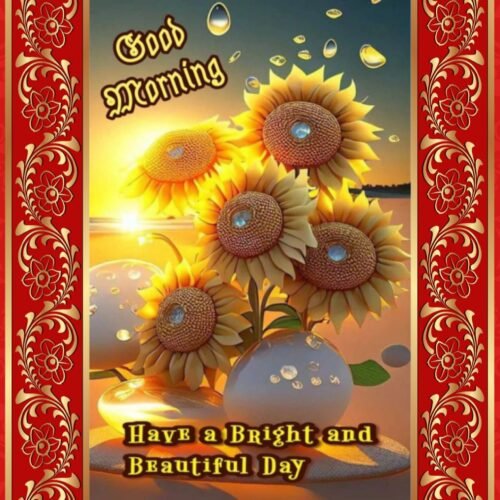 New Style Suraj Mukhi Sunflower High Quality Good Morning Rare Images ...