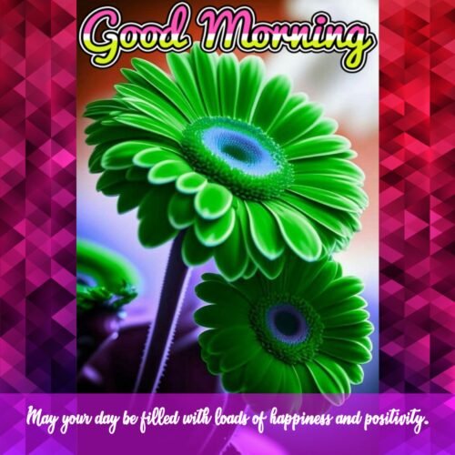 New Style Suraj Mukhi Sunflower High Quality Good Morning Rare Images ...