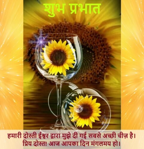 New Style Suraj Mukhi Sunflower High Quality Good Morning Rare Images ...