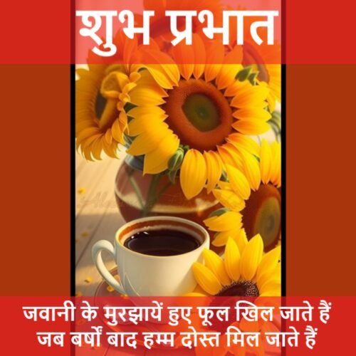 New Style Suraj Mukhi Sunflower High Quality Good Morning Rare Images ...