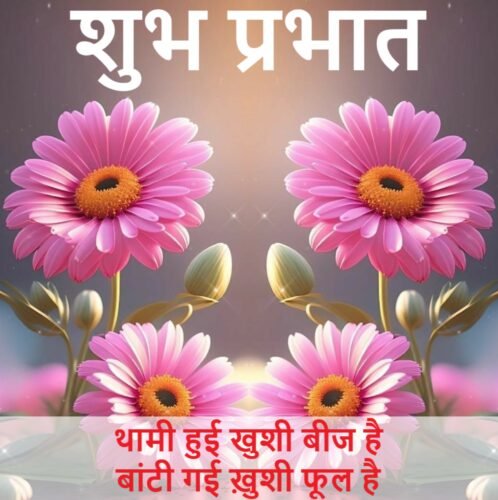 New Style Suraj Mukhi Sunflower High Quality Good Morning Rare Images ...