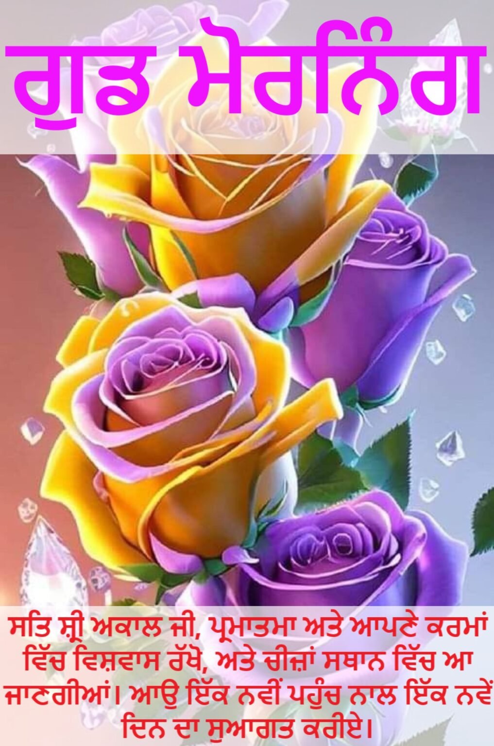 Punjabi Good Morning Whatsapp Status Wishes High Quality Images Rose ...